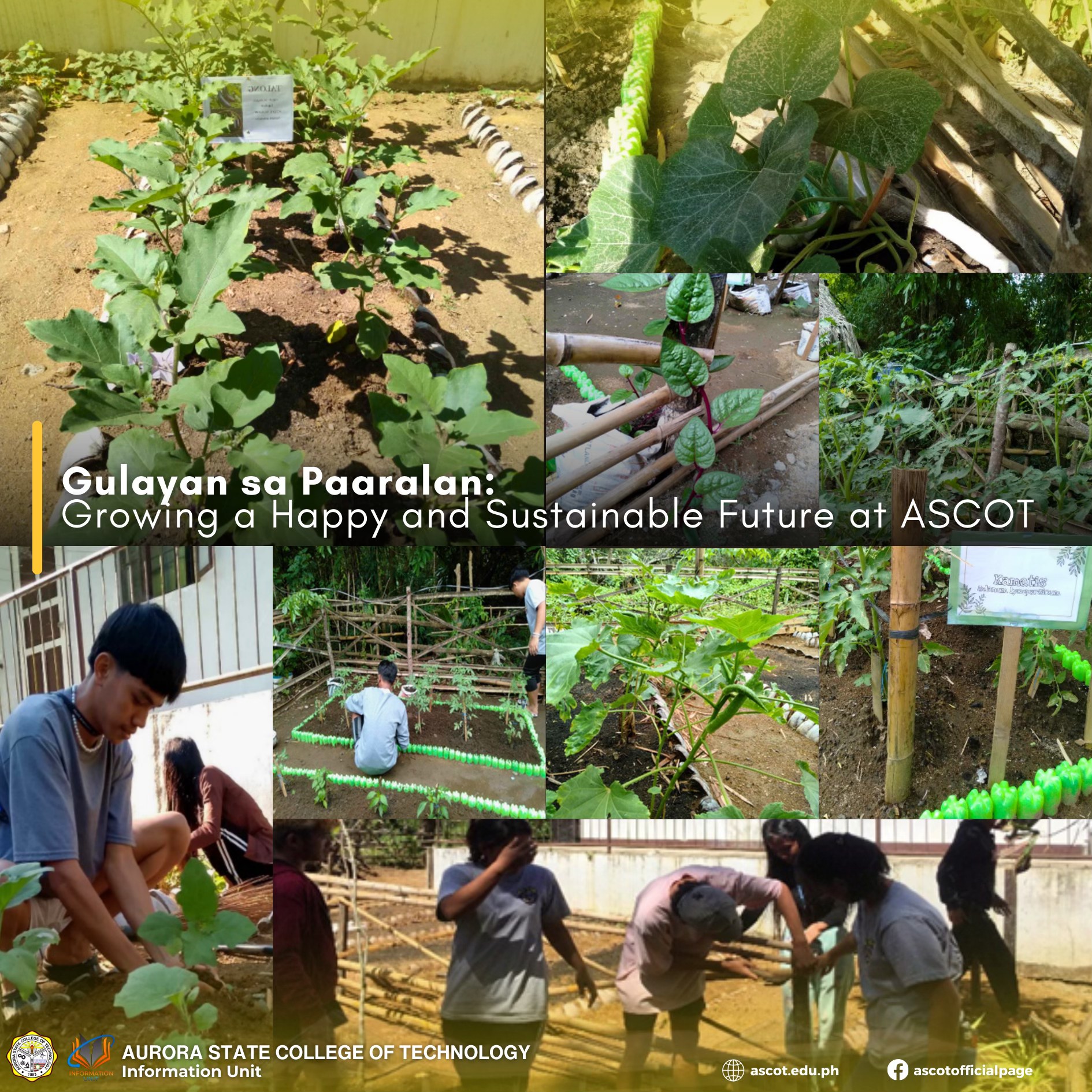 Gulayan sa Paaralan: Growing a Happy and Sustainable Future at ASCOT ...