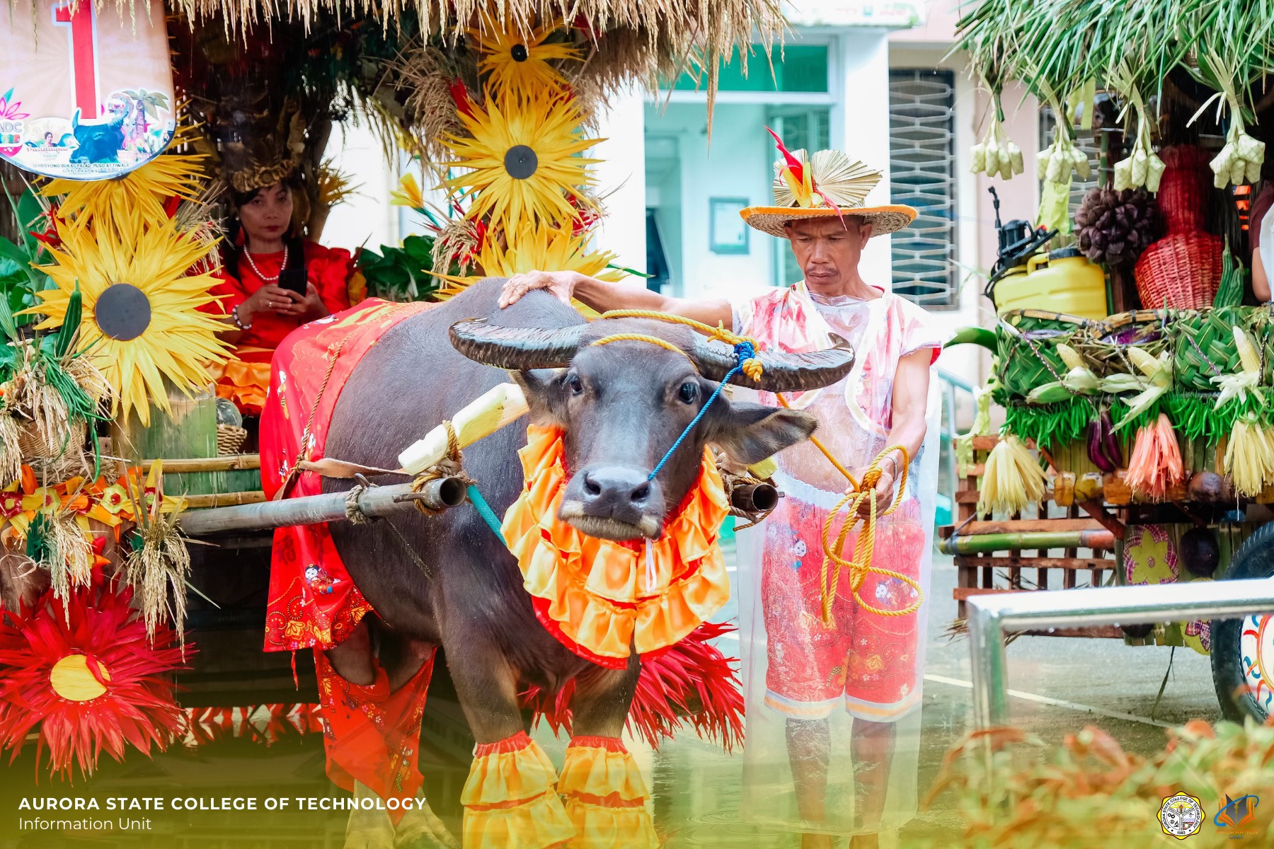 ASCOT Receives Two Carabaos from PCC at Aurora's First Carabao Festival ...